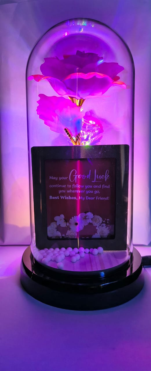 Good Luck Photo Frame Galaxy Rose Flowers Forever Rose Colorful LED ...